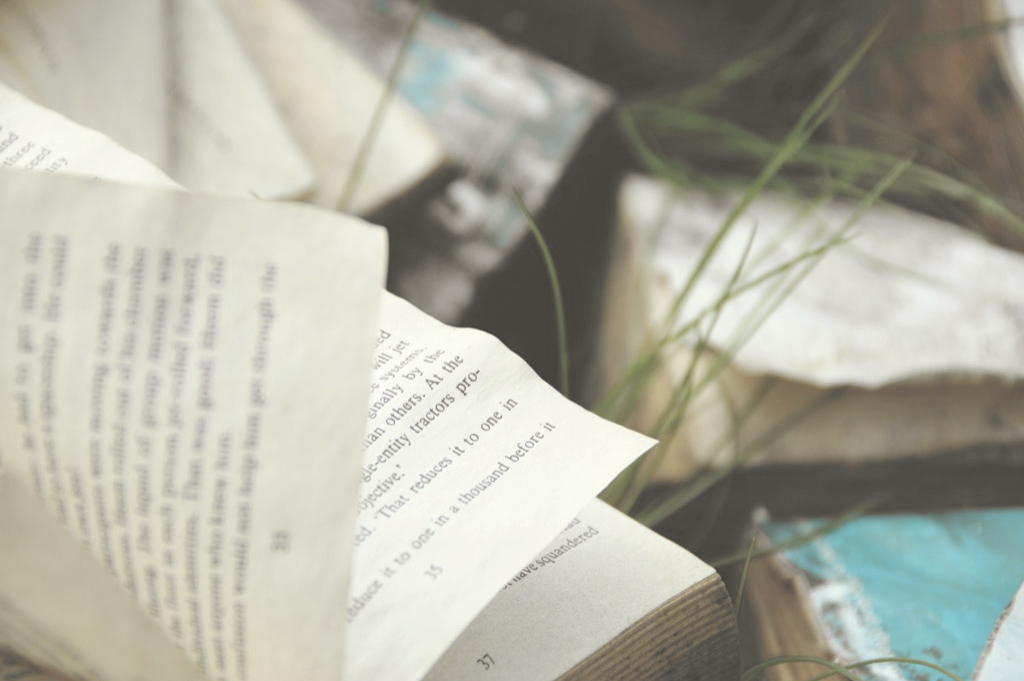 des livres et nous – ——- les livres qui nous donnent des ailes